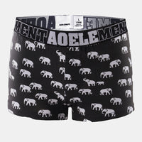 Elephant Trunks